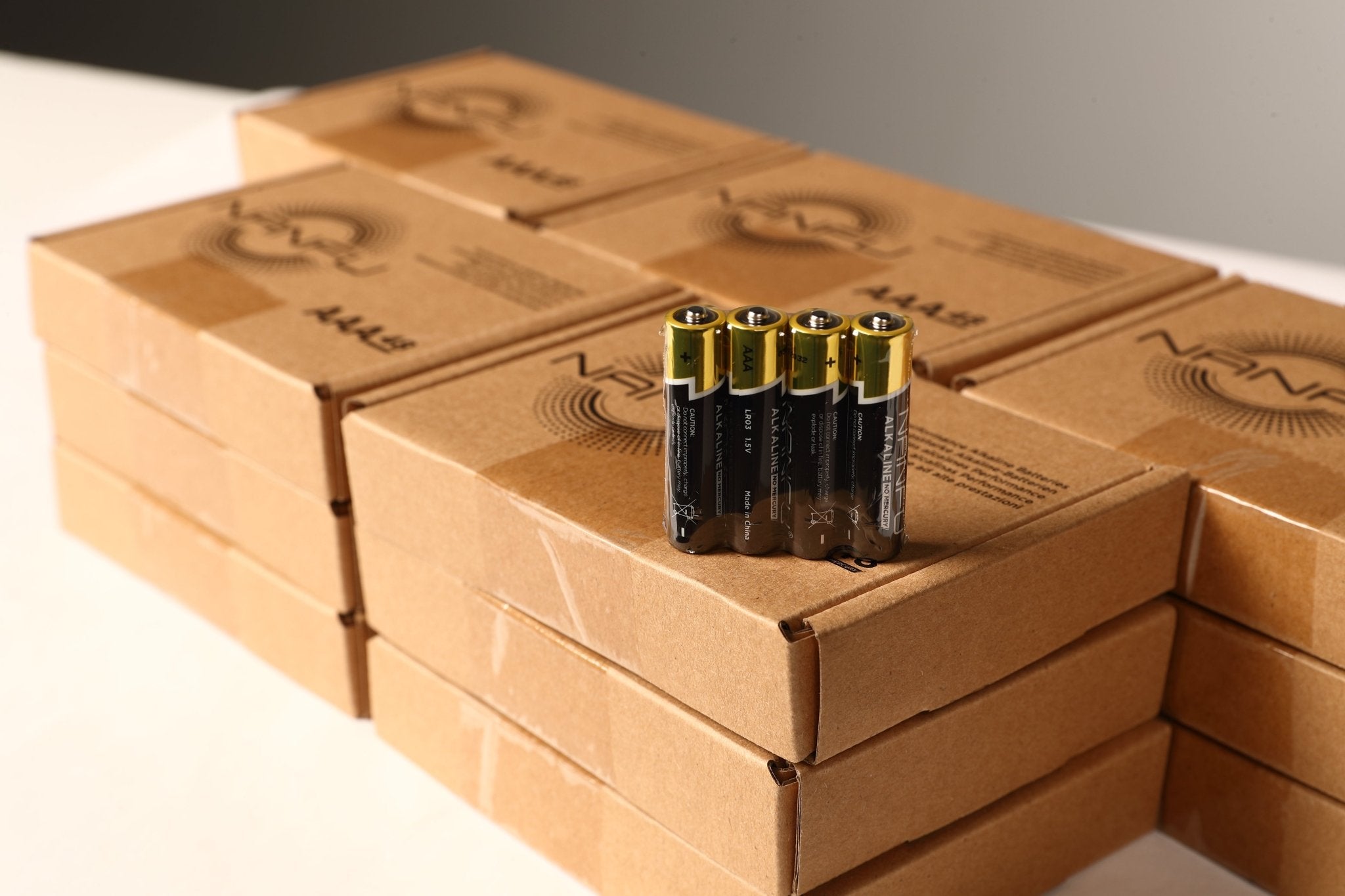 NANFU AAA 1.5V Alkaline batteries 48 Pack – Nanfuusa